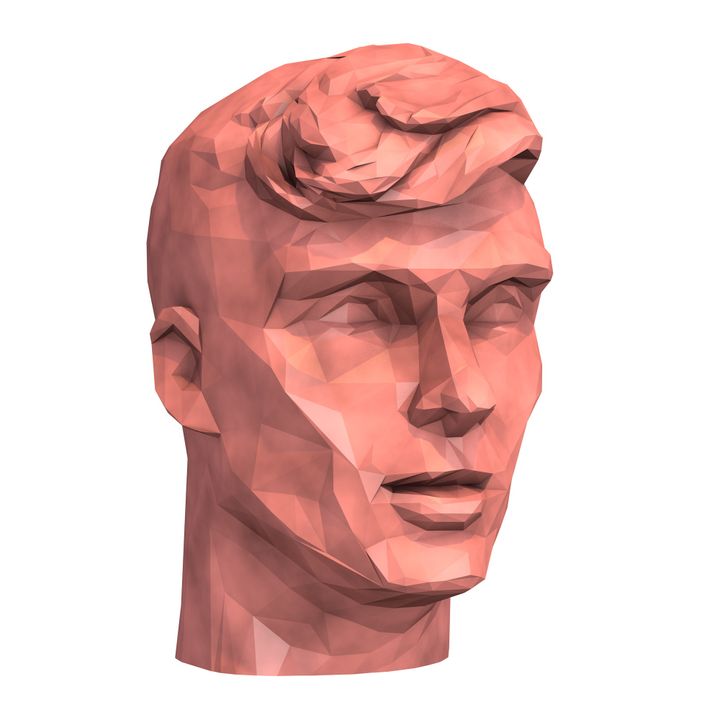 3D Printable Man Head Low Poly by 1xMerch